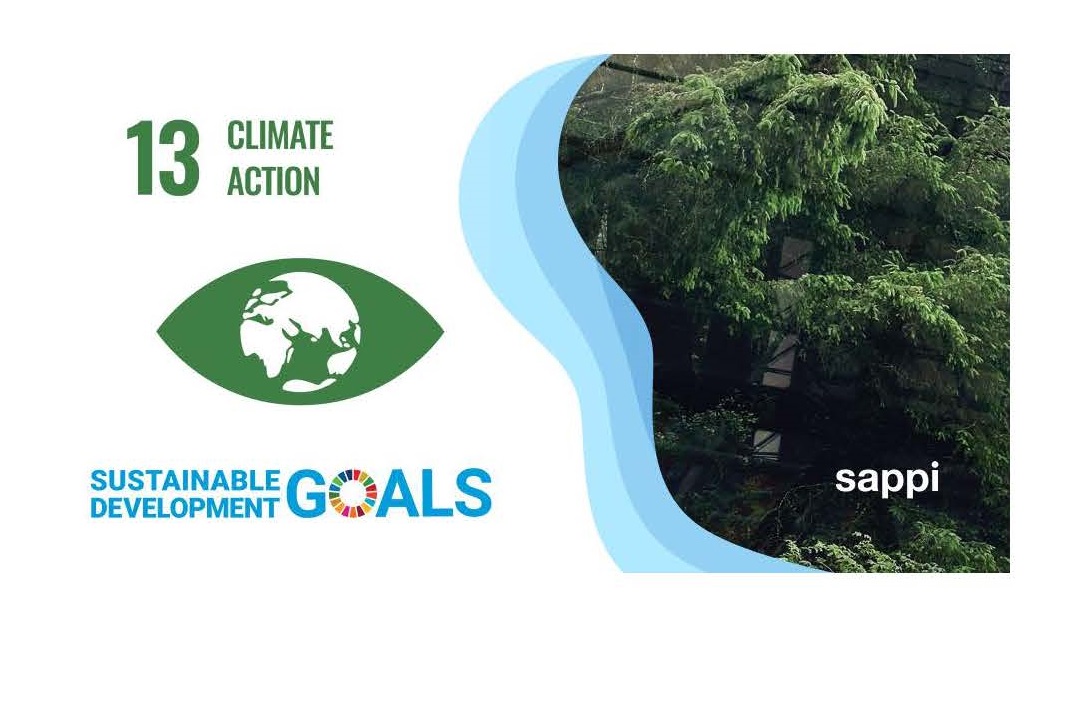 Sappi commits to setting science-based emission reduction targets ...