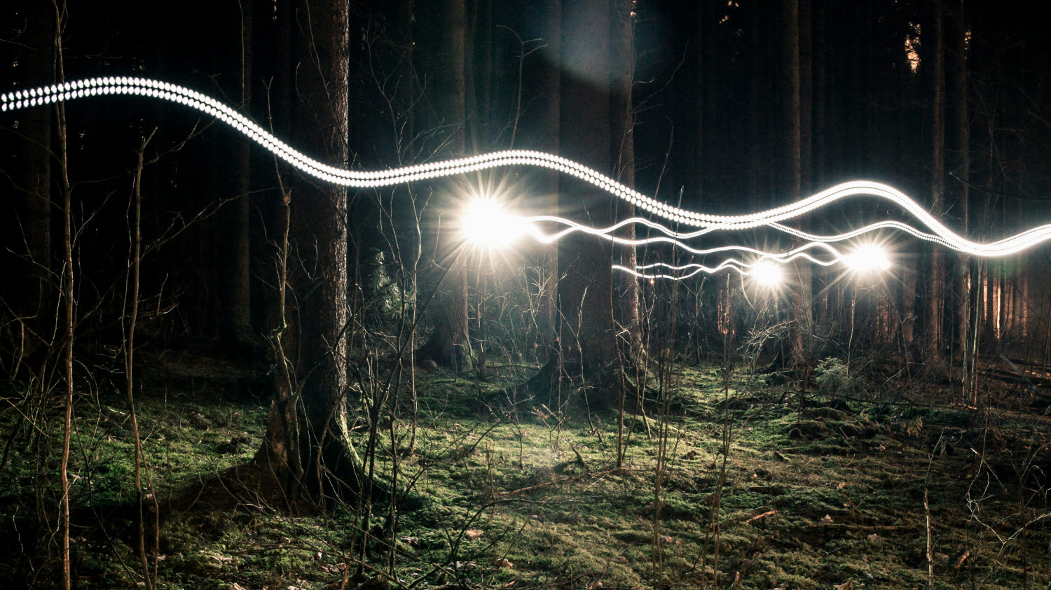 New visual identity for Holmen | PaperFIRST