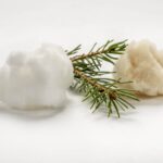 Stora Enso launches new fluff pulp grade with lower carbon footprint ...