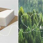 Stora Enso introduces portfolio for bio-based packaging foam | PaperFIRST