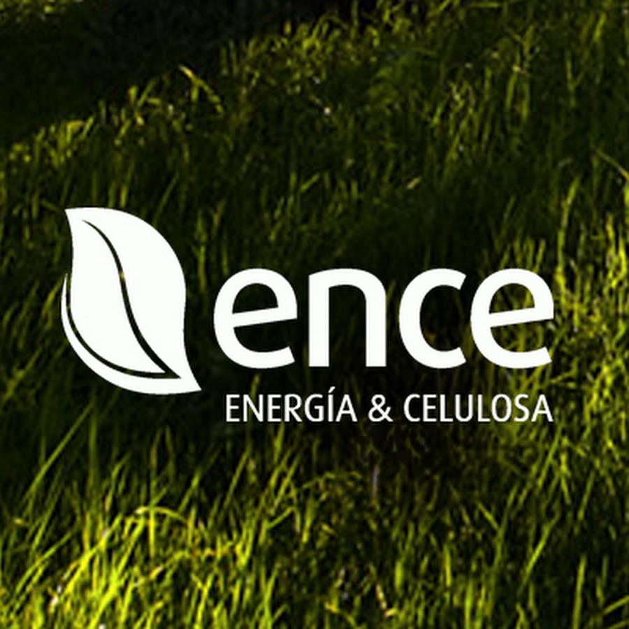 A new bioplant for Ence in Northern Spain? | PaperFIRST