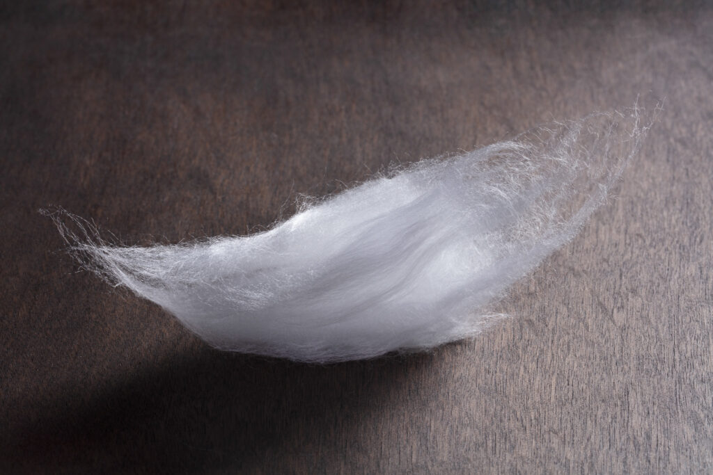 Suzano S.A. acquires a 15 percent stake in Lenzing AG from B&C Group ...